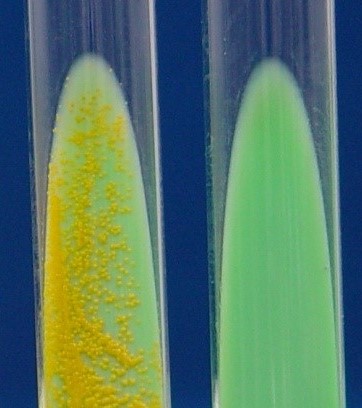 看護教育のための情報サイト「NurSHARE」| 記事・コラム | 企画